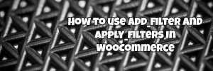 How to use add_filter and apply_filters in WooCommerce - Hard Working Nerd